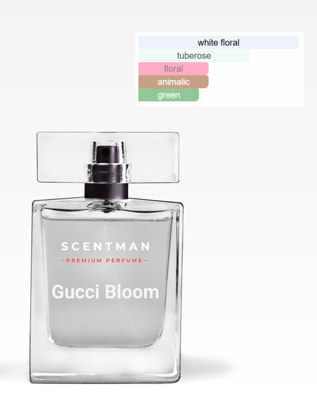 www.scentman.co.za – Scentman Fragrances